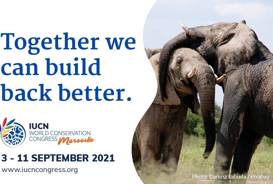 IUCN WCC 3-11 September 2021: Transformative Change for Nature and People